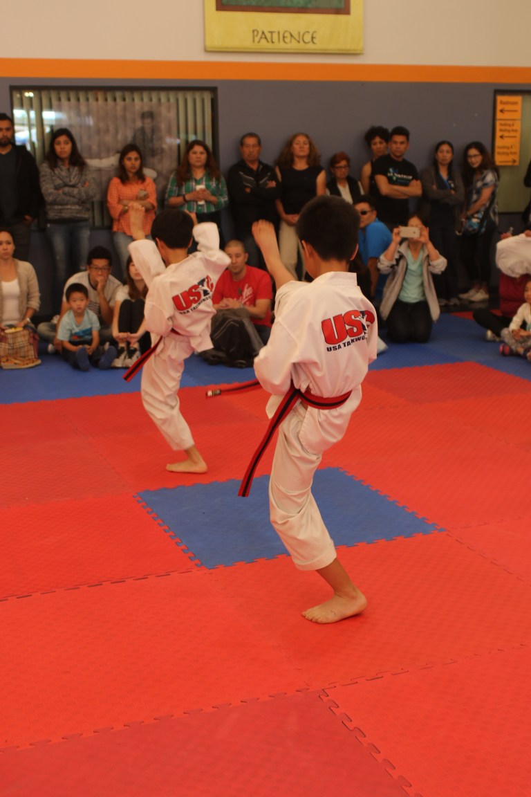 Classes – USA Tae Kwon Do